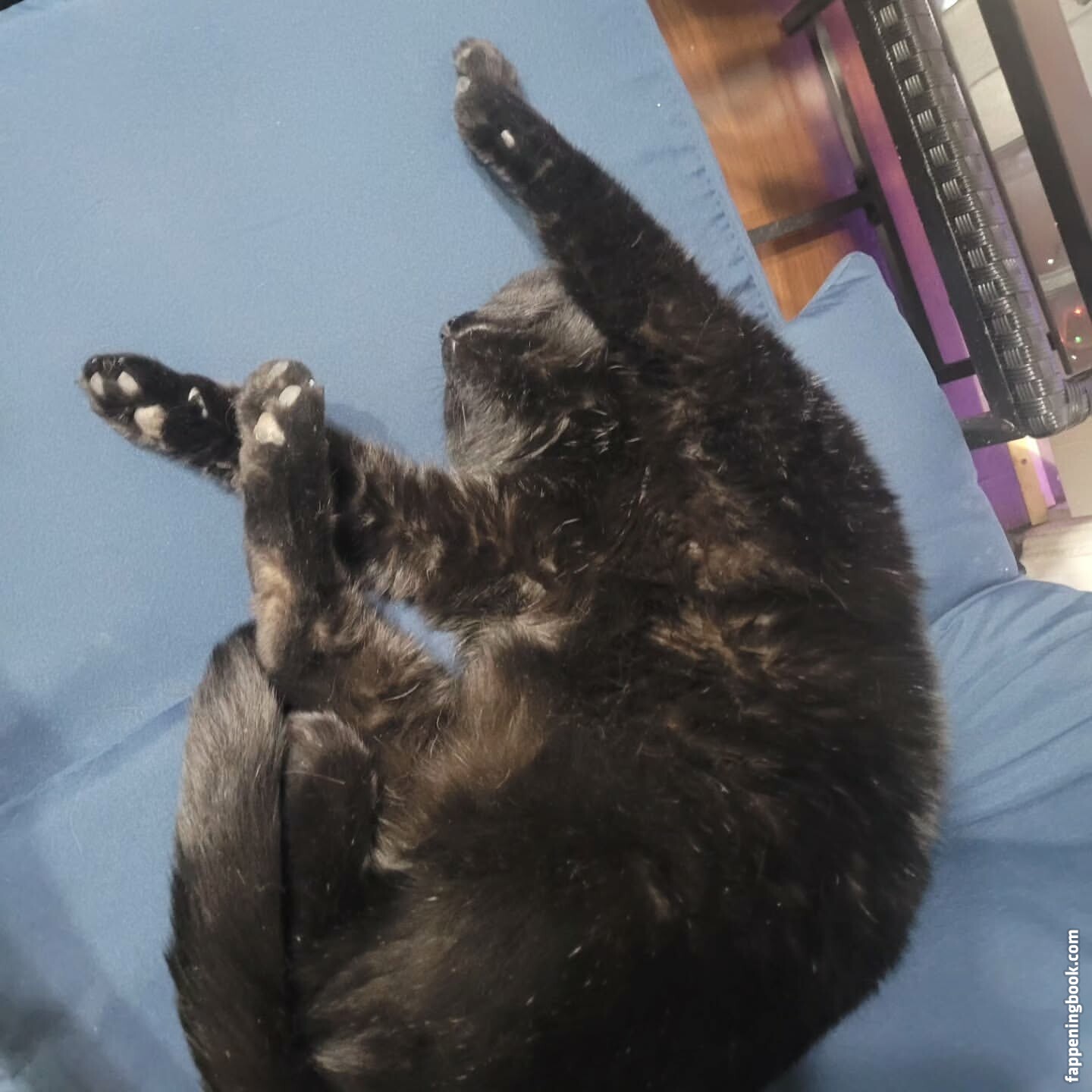 Bayesia Nash / bayesianash / bayesnash / https: Nude, OnlyFans Leaks ...