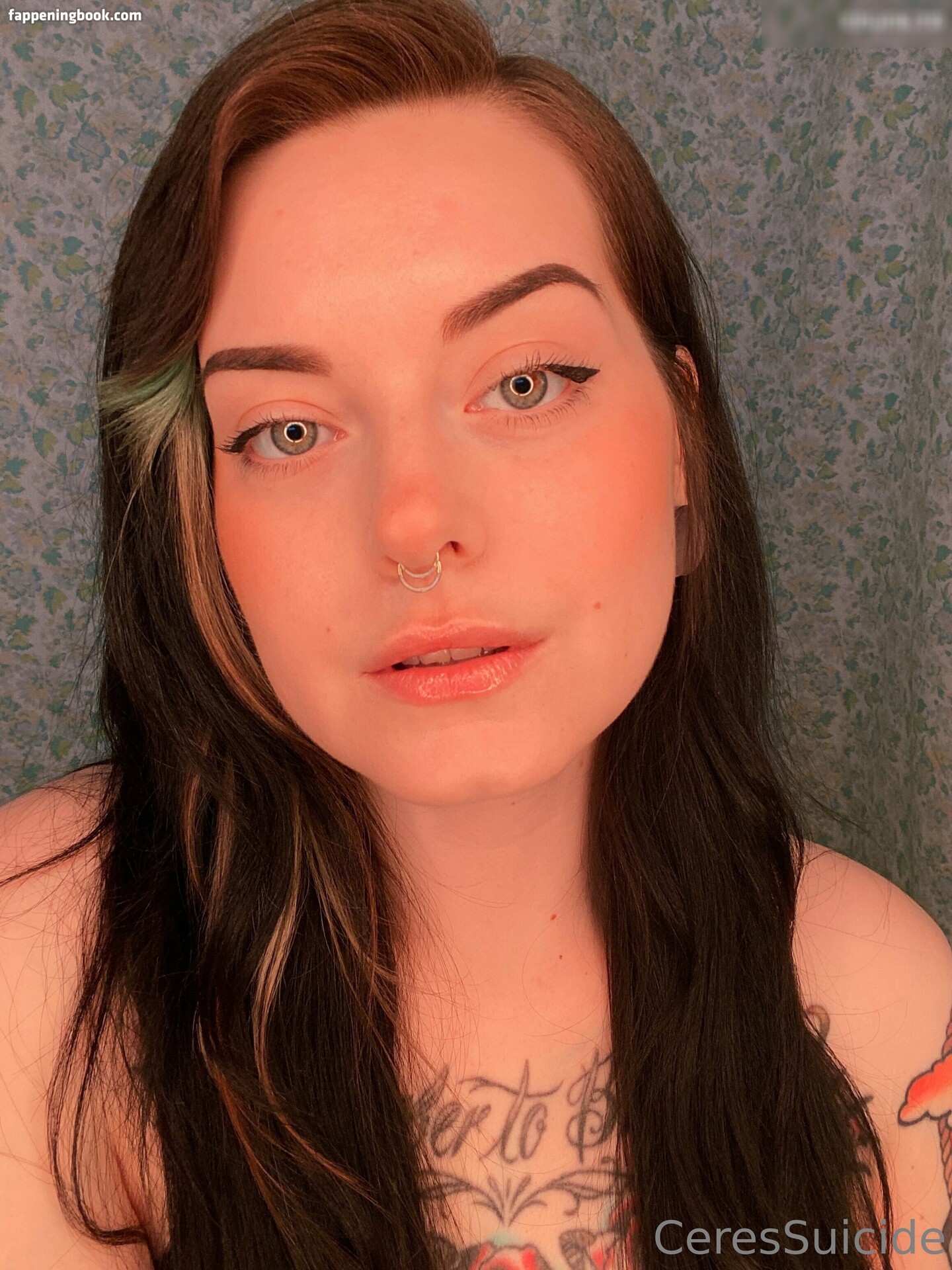 Ceres Suicide / ceressuicide Nude, OnlyFans Leaks, Fappening - FappeningBook