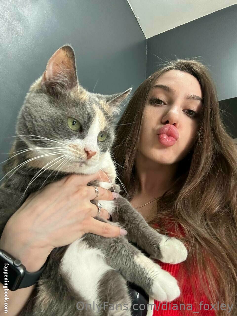 diana_foxley / keoghdiane Nude, OnlyFans Leaks, Fappening - FappeningBook