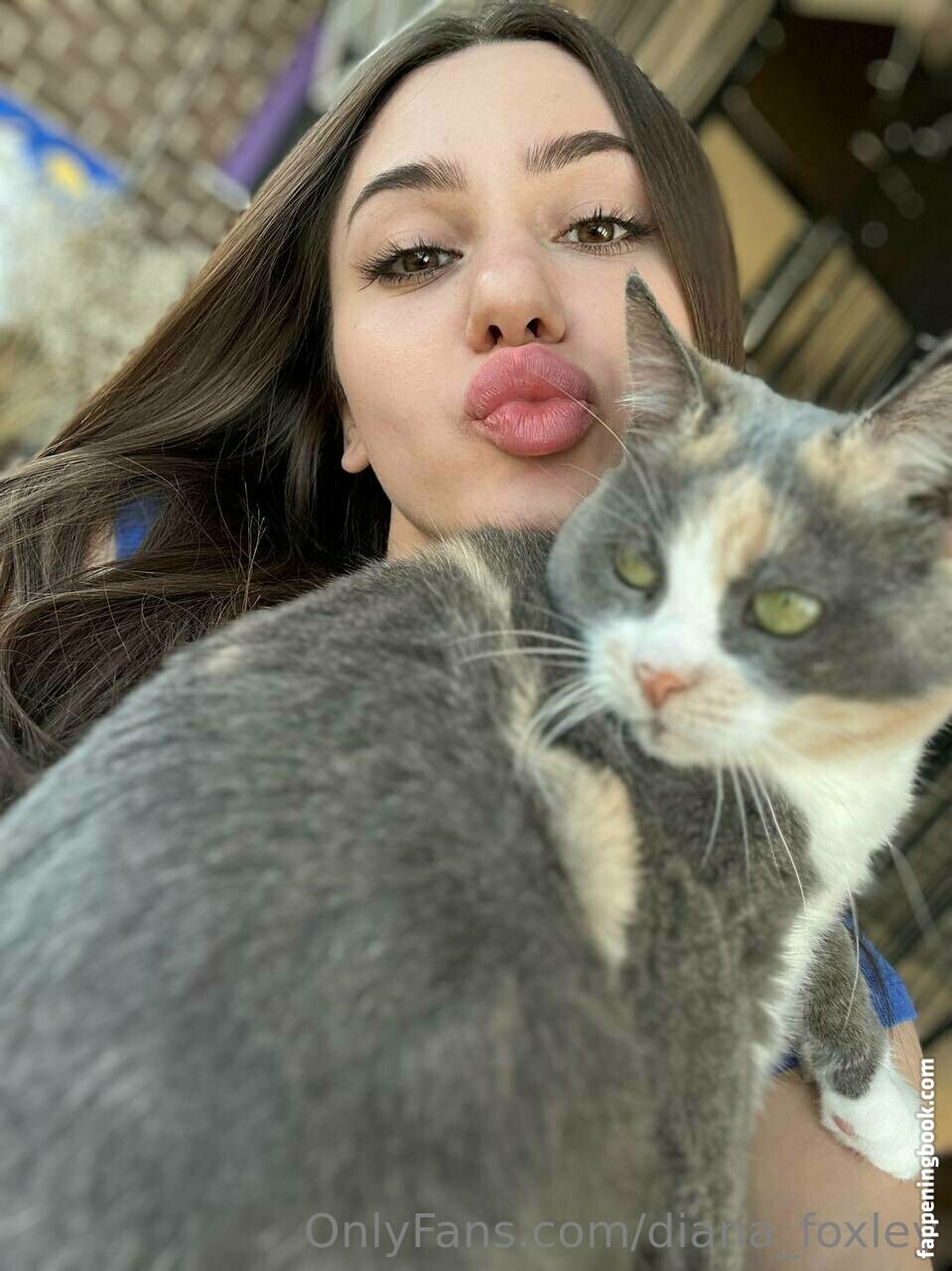 diana_foxley / keoghdiane Nude, OnlyFans Leaks, The Fappening - Photo #5789439 - FappeningBook