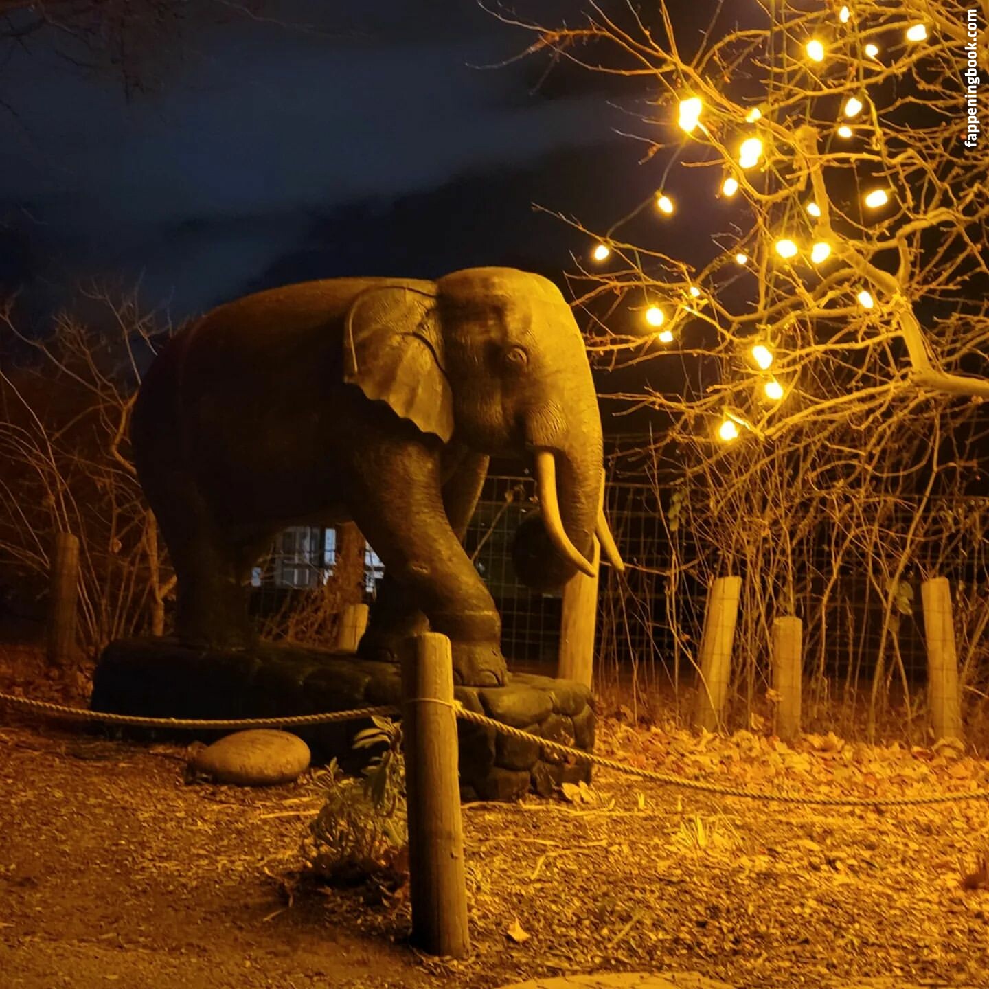 Ivory Ray / itsivoryray / itsivoryrayfree / itsivoryrayy Nude, OnlyFans ...